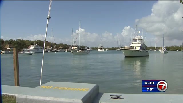 Man recovering after shark bite near Key Biscayne beach - WSVN 7News ...