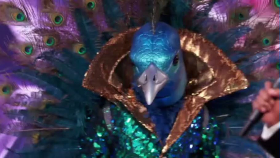 ‘the Masked Singer Finale Will Have The Bee The Monster And The Peacock Singing It Out Wsvn