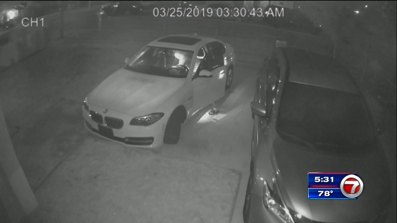 Surveillance video captures thieves burglarizing cars in NWMD ...