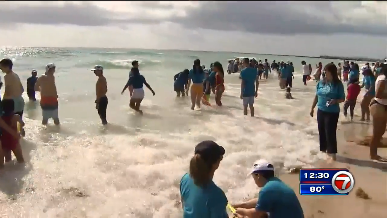 VACC Camp helps special needs children celebrate spring break - WSVN ...
