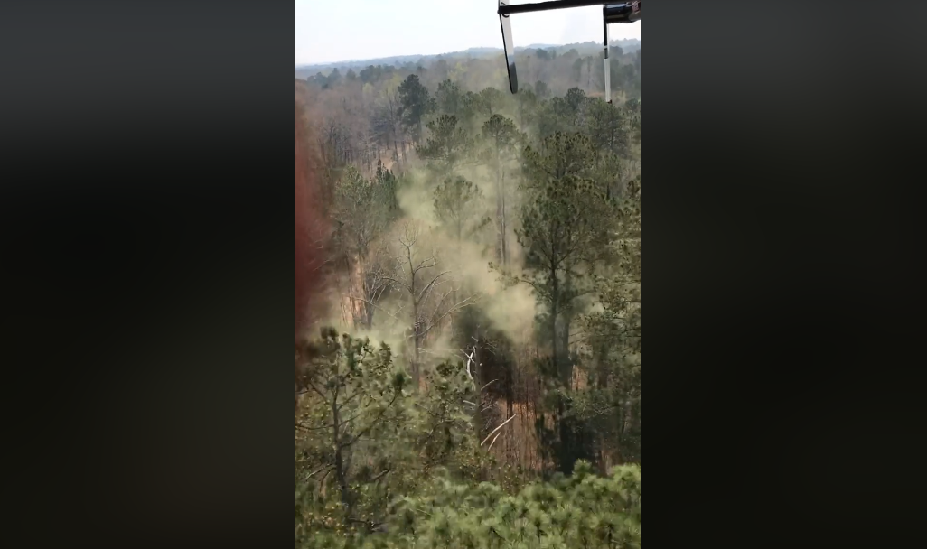 Helicopter creates massive cloud of pollen during flyover - WSVN 7News ...