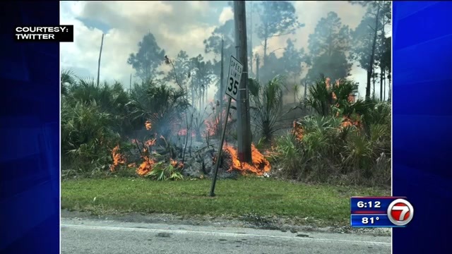 Crews put out fire near SW Miami-Dade park – WSVN 7News | Miami News ...