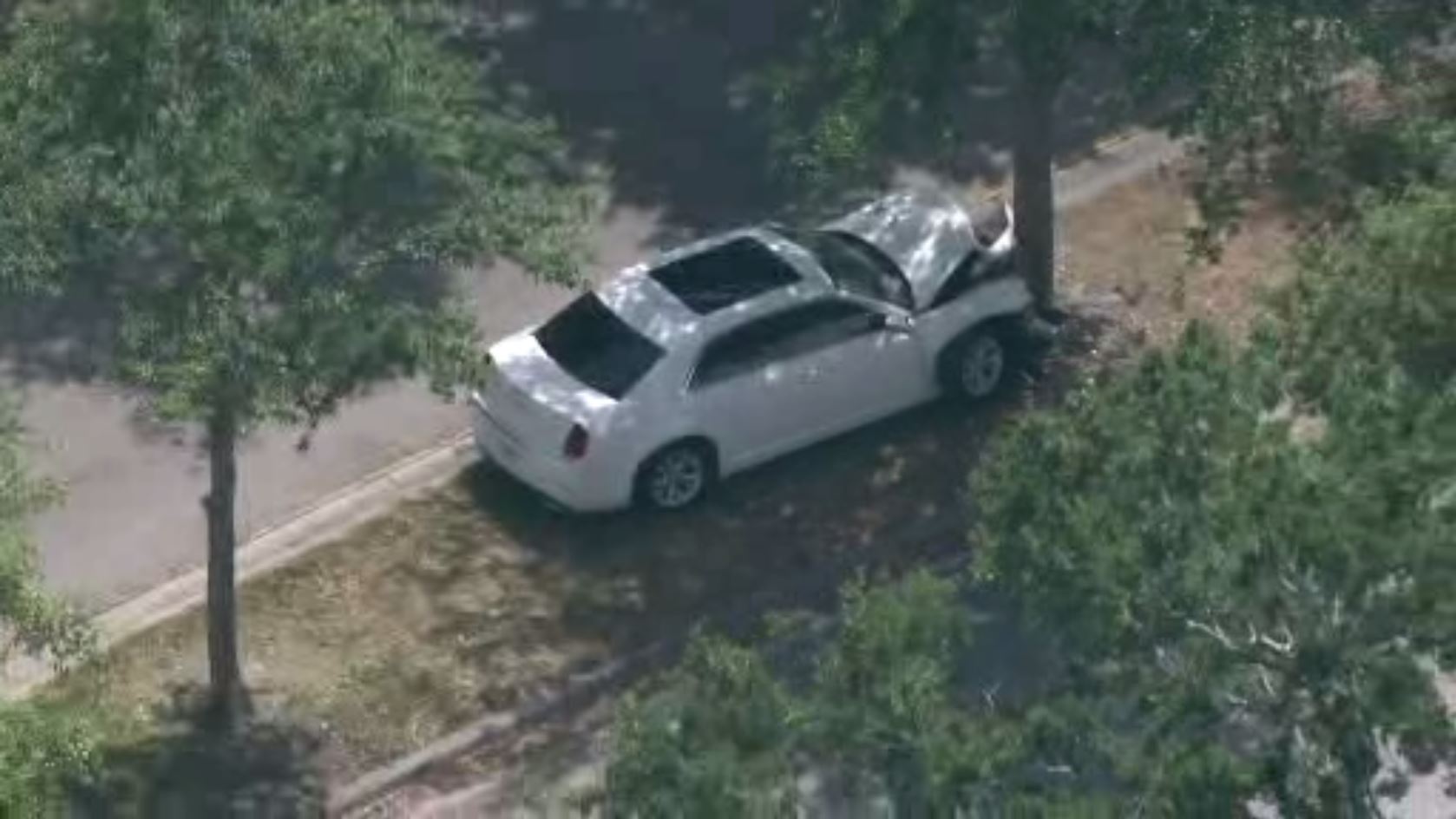 Car crashes into tree in SW Miami-Dade - WSVN 7News | Miami News ...