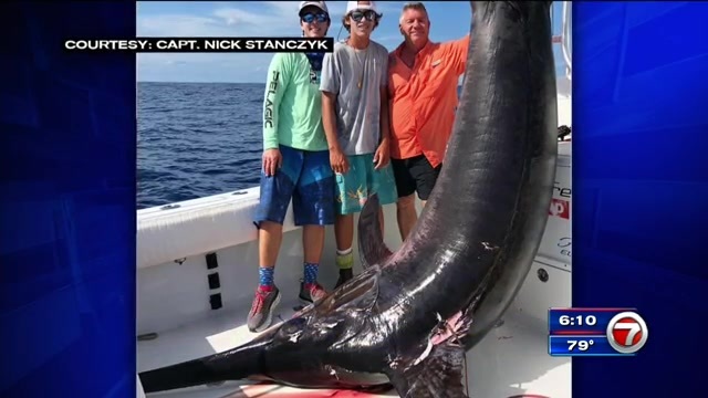 record swordfish florida