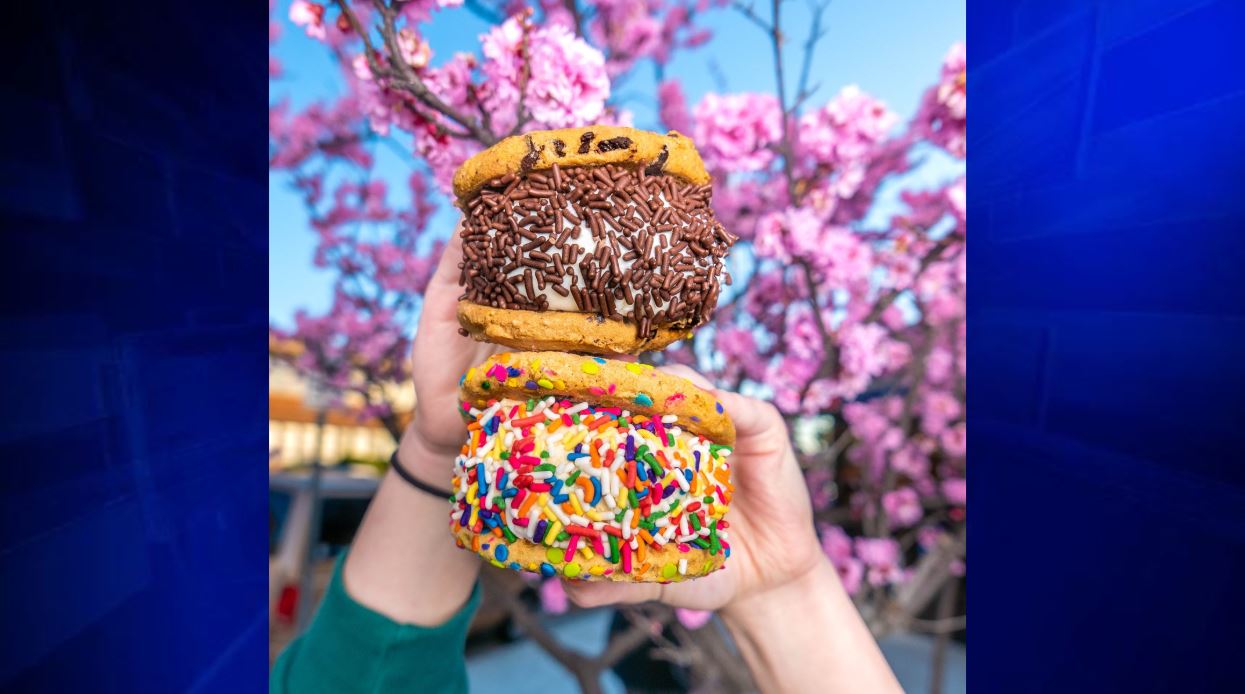 Cream Nation offering free ice cream to celebrate Doral store grand ...