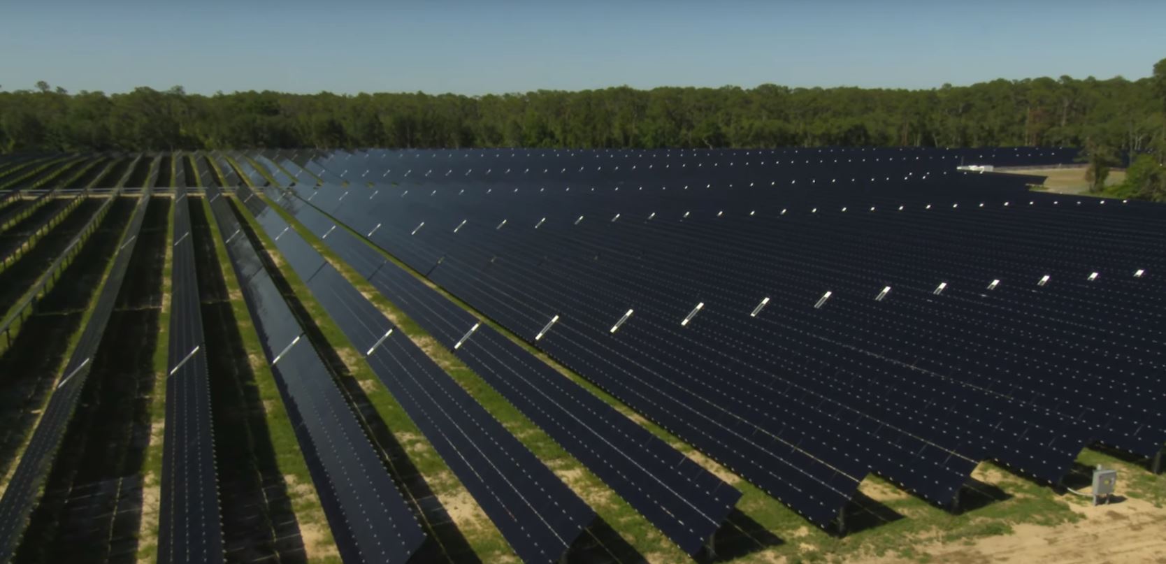 Disney’s new solar farm capable of powering 2 theme parks - WSVN 7News ...