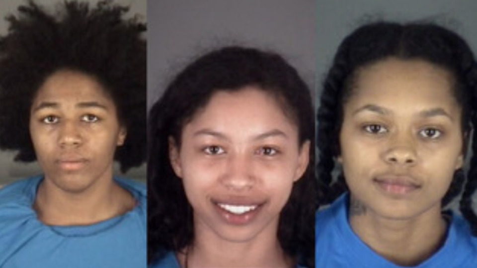 3 Naked Women At Rest Stop Lead Deputies On Chase In Florida Wsvn