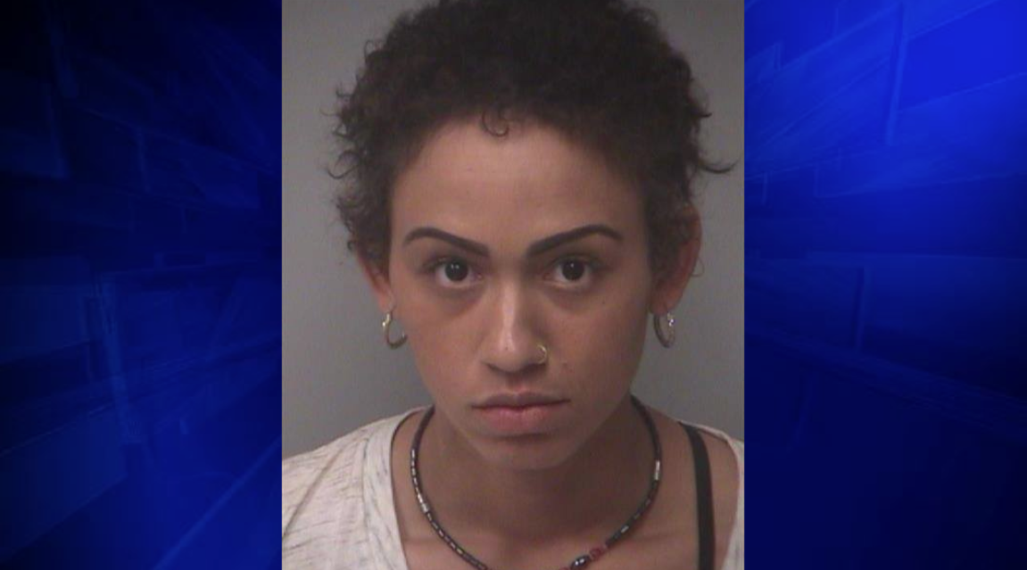 Florida woman accused of throwing child against fence in frustration ...