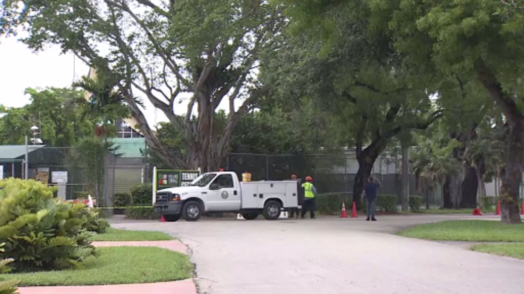 Miami Springs residents warned after red-tailed hawk attacks passersby ...