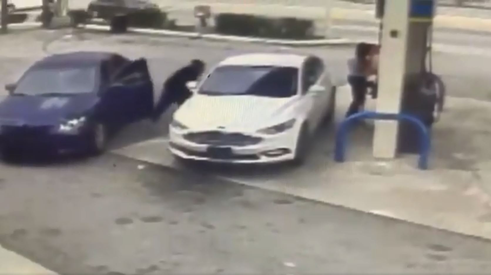Police Seek Publics Help Identifying Purse Snatcher Caught On Camera