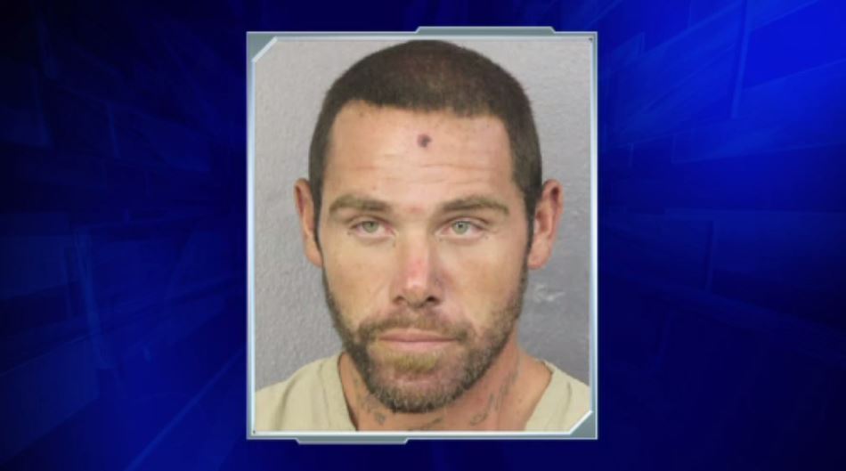 Man charged with grand theft auto, burglary after leading police on ...