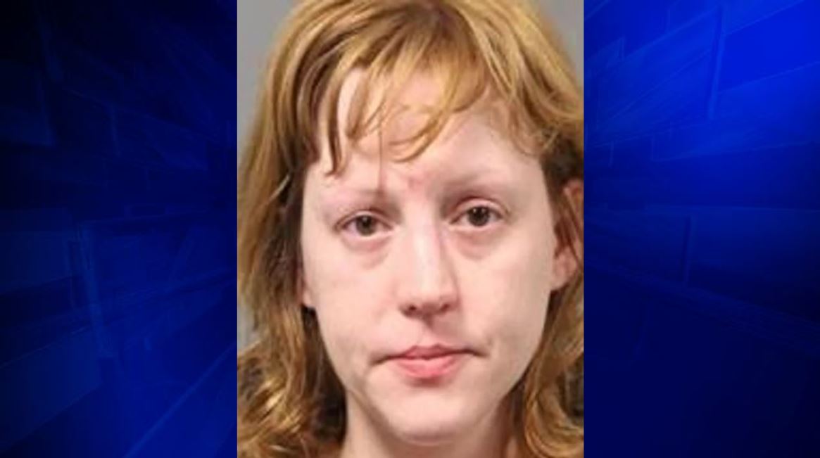 Delaware mom charged with trying to poison ex with milkshake - WSVN ...