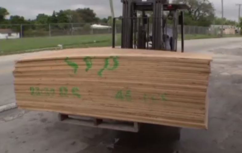 Feds give $480M to Florida timber industry after hurricane - WSVN 7News ...