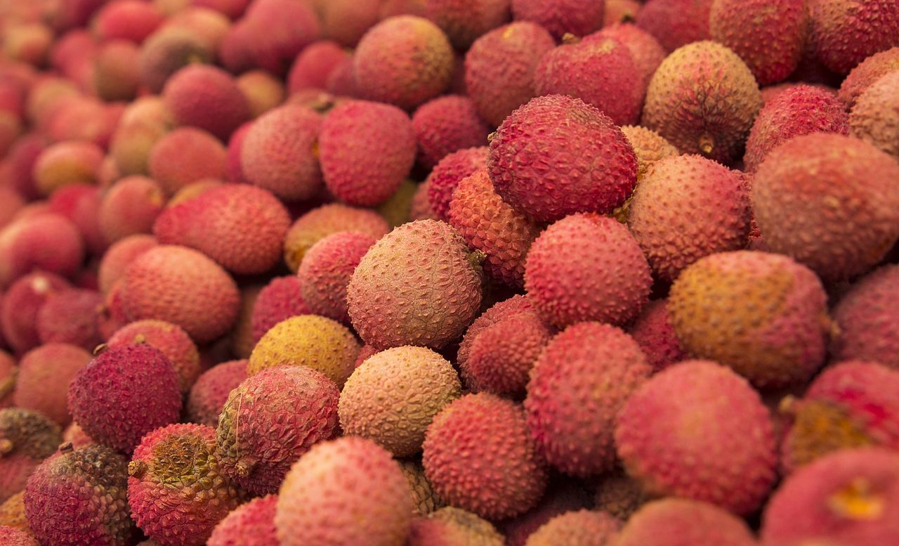 Brain disease linked to lychee toxins kills 47 children in India - WSVN ...