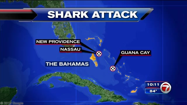 Fort Lauderdale man airlifted after Bahamas shark attack – WSVN 7News ...