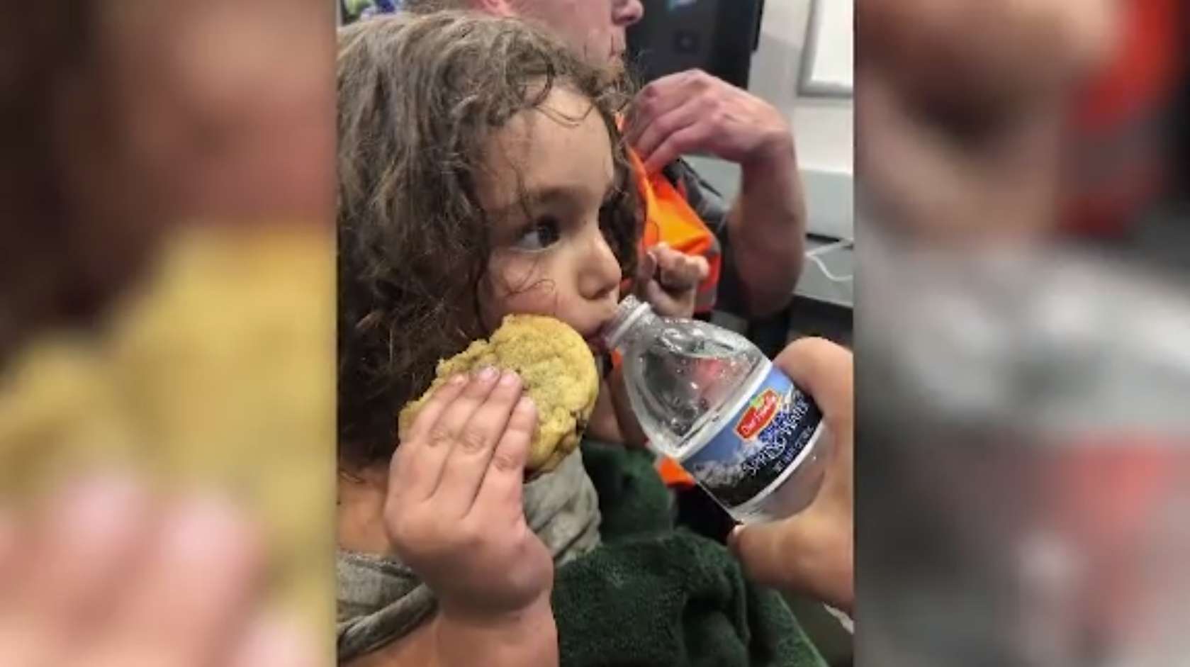 Police: 2-year-old girl missing in Michigan woods found safe - WSVN ...