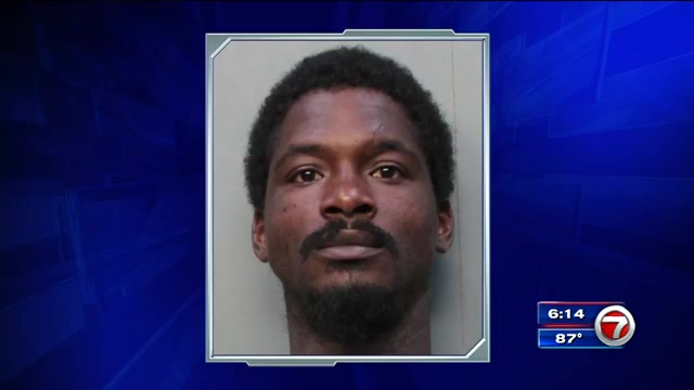 ‘Spider-Man’ climber linked to apartment break-ins arrested in Miami ...