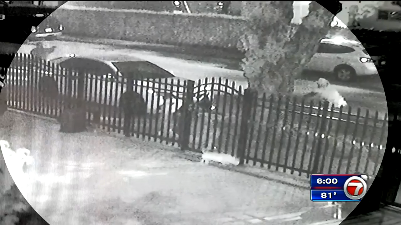 Miami homeowner shoots, injures suspected armed robber outside home ...