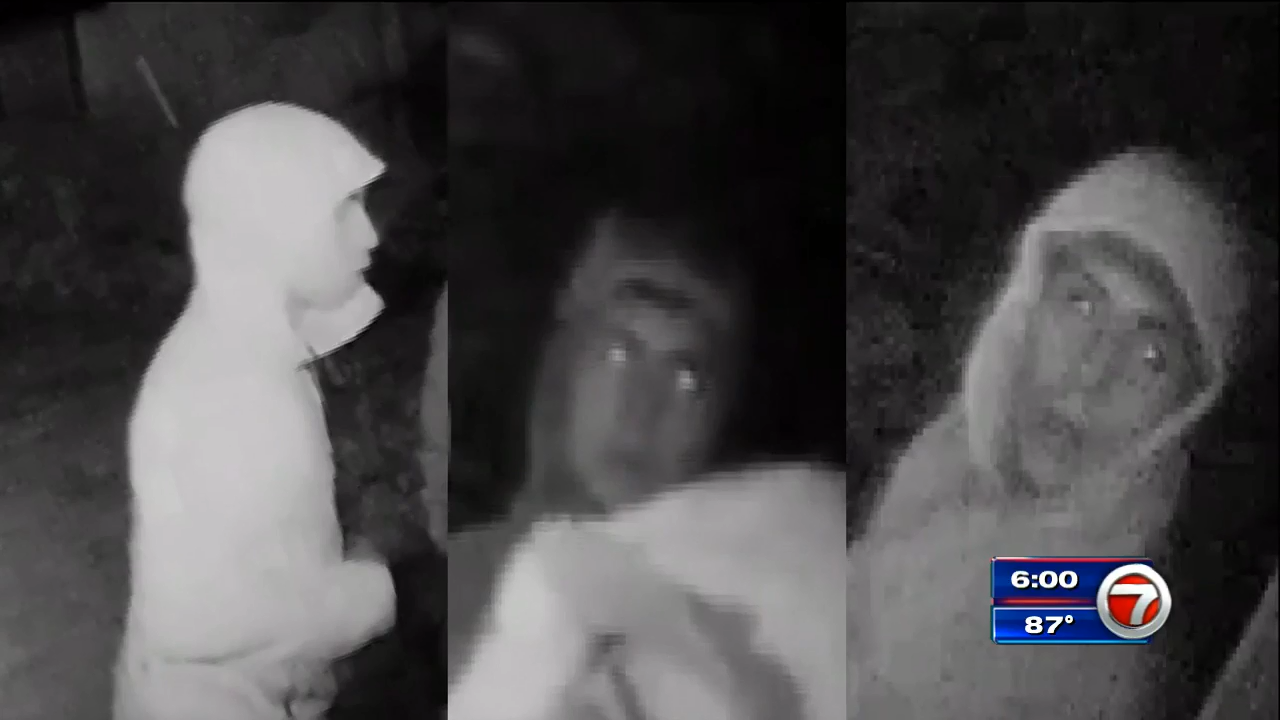 3 crooks caught on video breaking into Miami home, stealing 2 safes ...