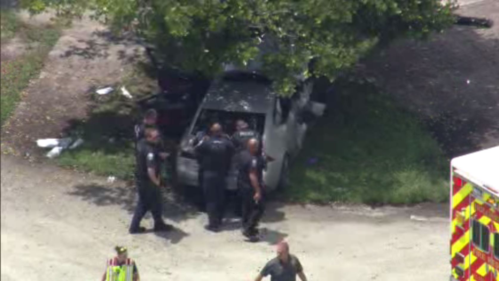 3 hospitalized after car crashes into tree in Hollywood - WSVN 7News ...