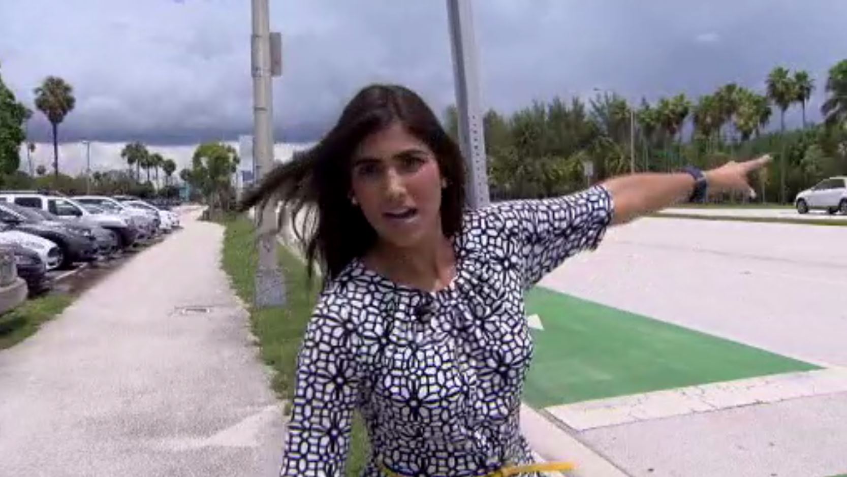 Model hopes video will prove she did not kick Miami-Dade Police officer ...