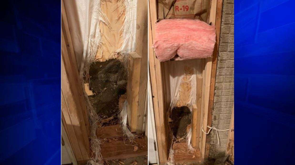A bear broke into a Colorado home, then smashed through the wall to ...