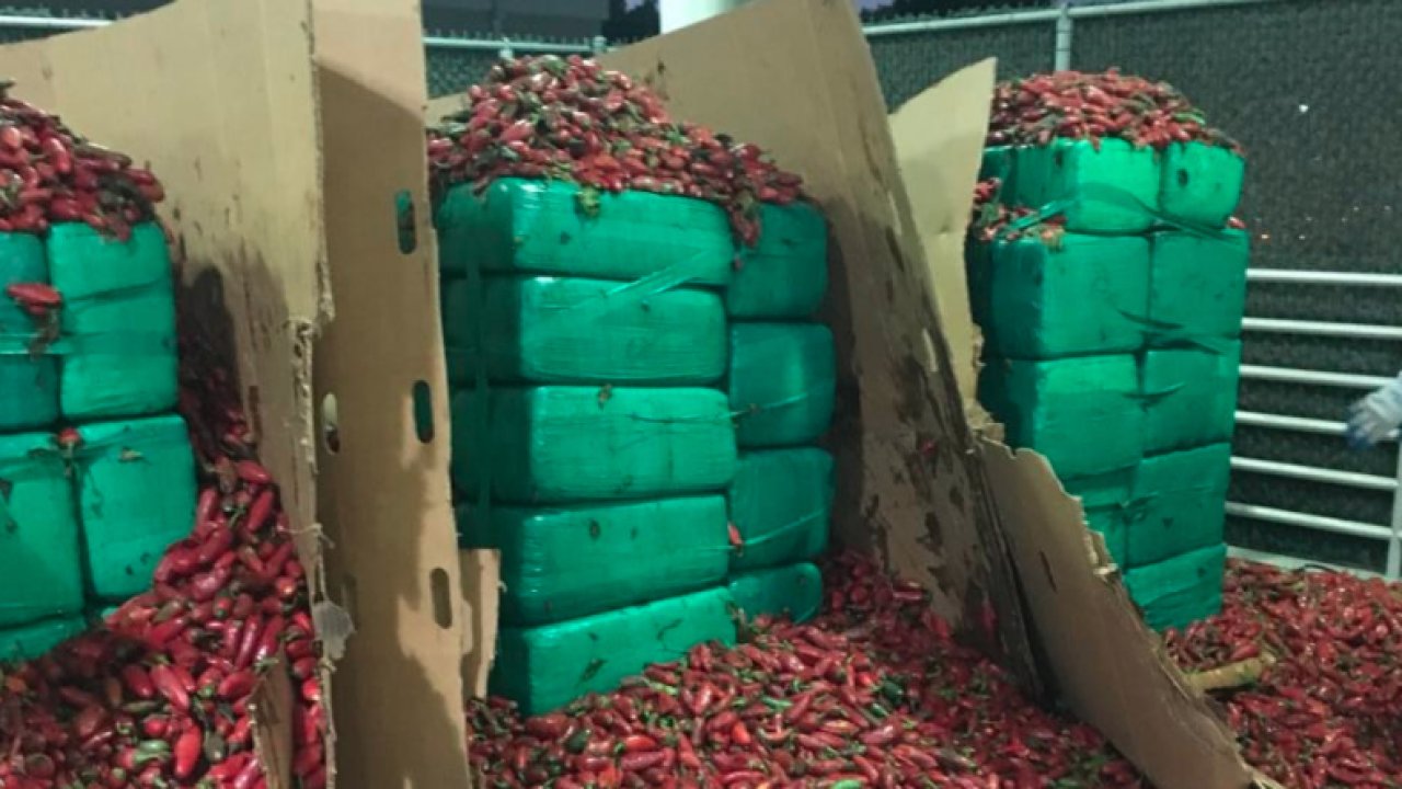 Nearly 4 tons of weed discovered inside a shipment of jalapeños - WSVN ...