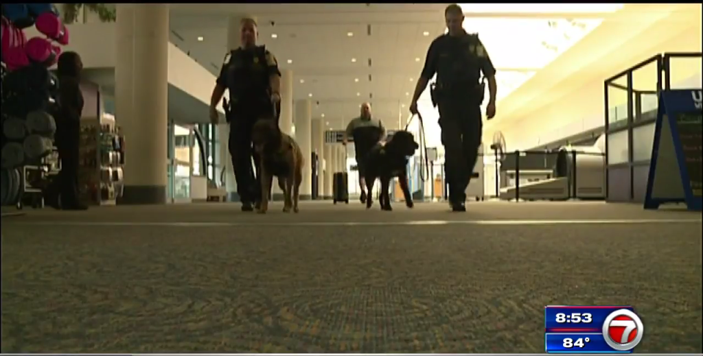 190909 tsa – WSVN 7News | Miami News, Weather, Sports | Fort Lauderdale