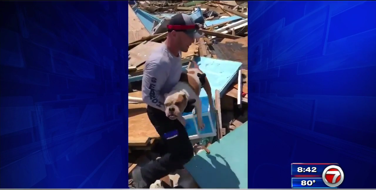 Gainesville Fire Rescue saves dog stuck in rubble from Hurricane Dorian ...
