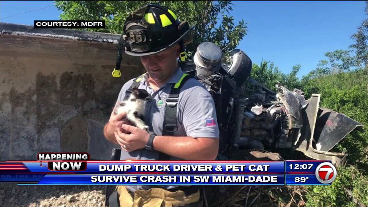 1 airlifted, kitten rescued after dump truck crash in SW Miami-Dade ...