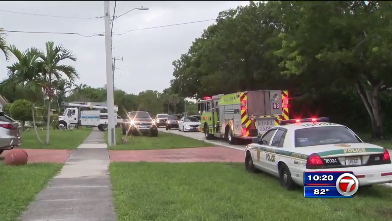 Live wire falls into backyard of NE Miami-Dade home - WSVN 7News ...