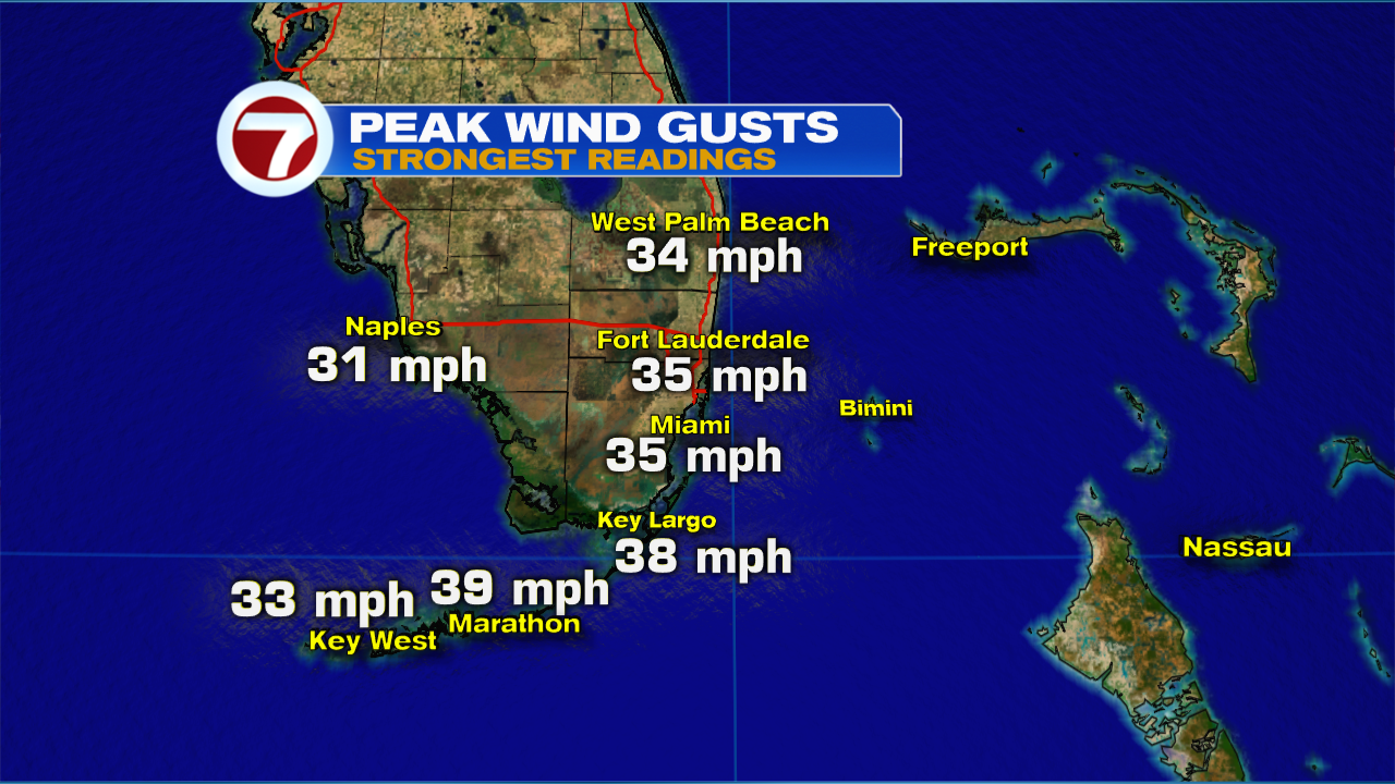 Blowin’ in the wind - WSVN 7News | Miami News, Weather, Sports | Fort ...
