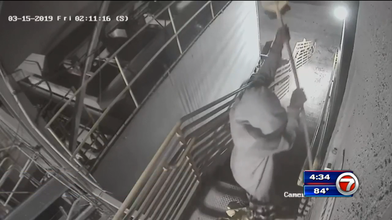 Surveillance video shows thief breaking into business near downtown ...