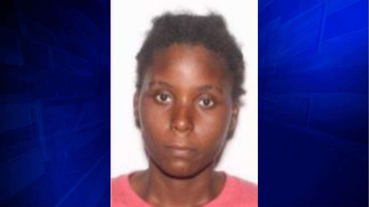 Woman critically injured after hit and run in Miami - WSVN 7News ...