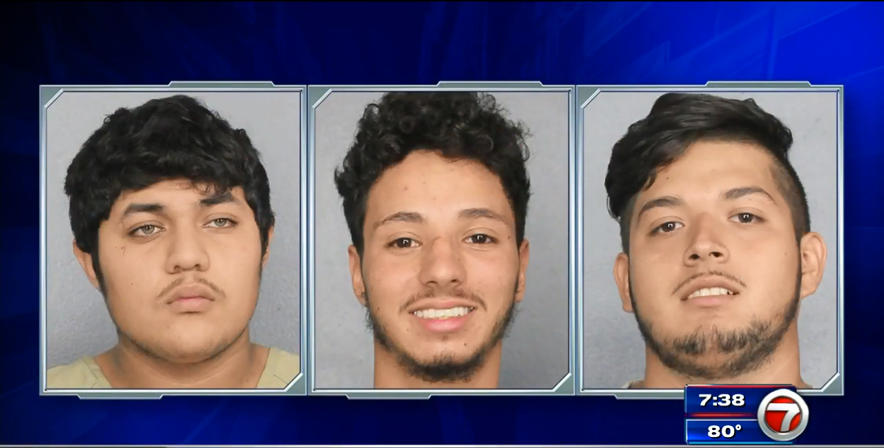 Deputies arrest trio accused of vandalizing nearly 20 vehicles - WSVN ...