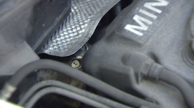 Cat rescued from Mini Cooper outside Miami Beach apartment building ...