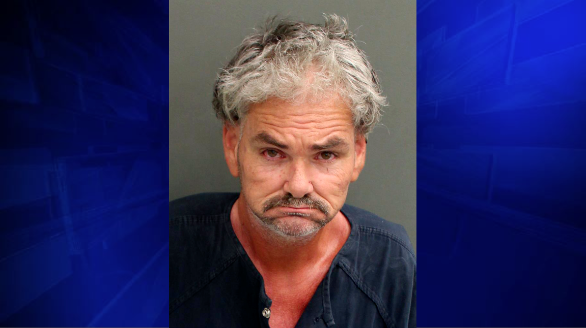 Deputies: Florida man groped princess at Magic Kingdom - WSVN 7News ...