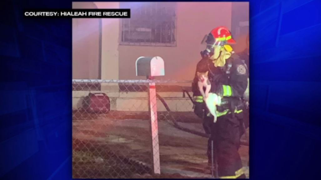 Firefighters rescue cats trapped in burning home in Hialeah - WSVN ...