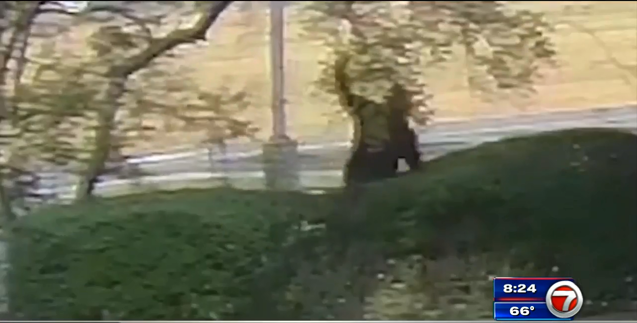 Clumsy criminal and getaway driver still on the run - WSVN 7News ...