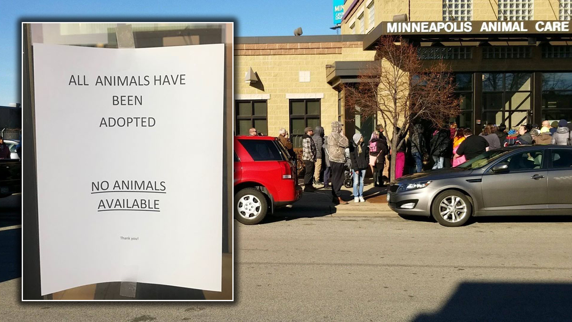 A Minneapolis animal shelter is empty — just in time for the holidays ...