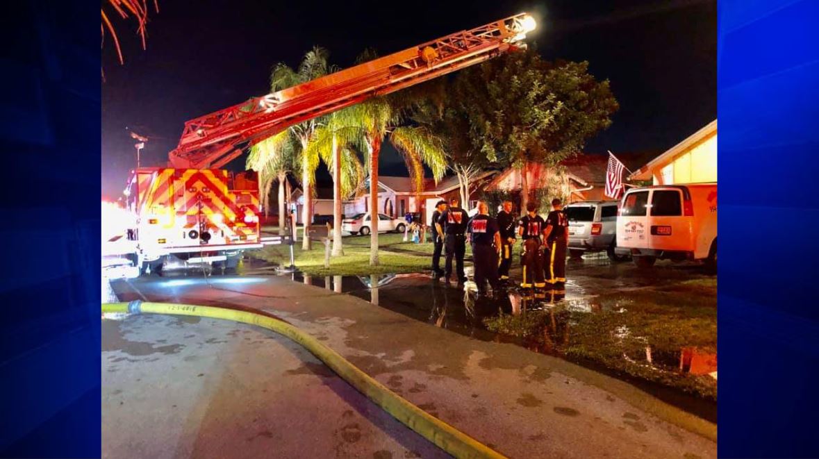 Turtle rescued from flames inside Margate home - WSVN 7News | Miami ...