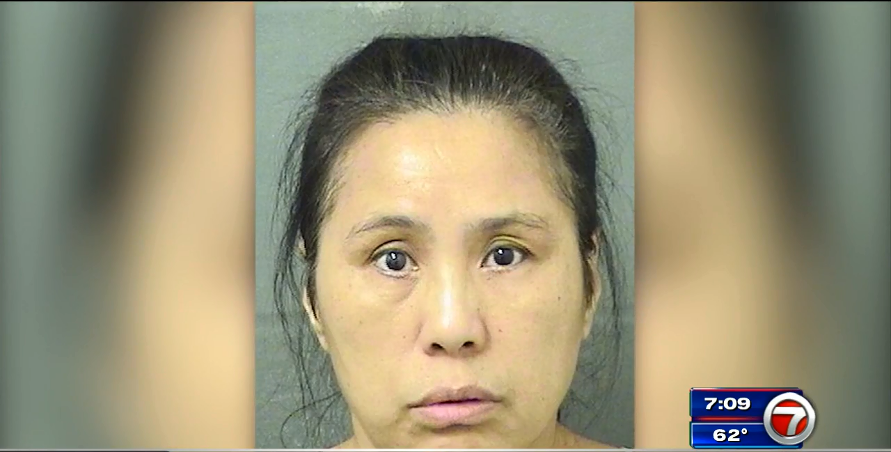 Chinese national arrested for illegally entering Mar-a-Lago - WSVN ...