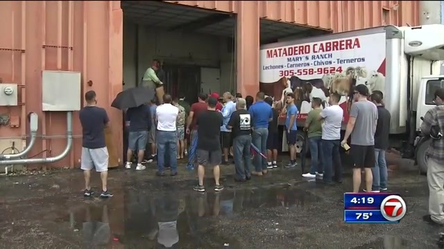 Miami-Dade – Page 1064 – WSVN 7News | Miami News, Weather, Sports ...