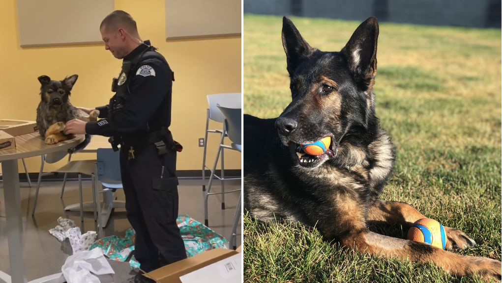 Officer brought to tears after being gifted with stuffed replica of ...