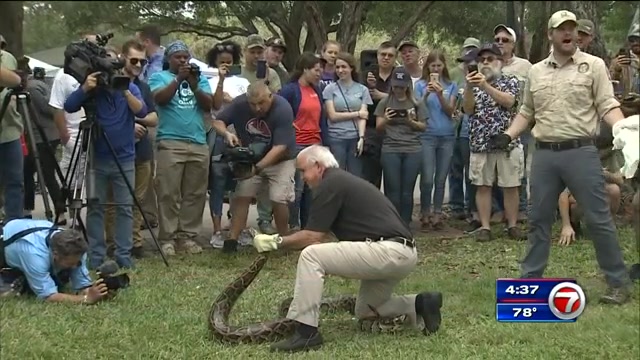 Miami-Dade mayor takes part in 2020 Python Bowl kickoff - WSVN 7News ...