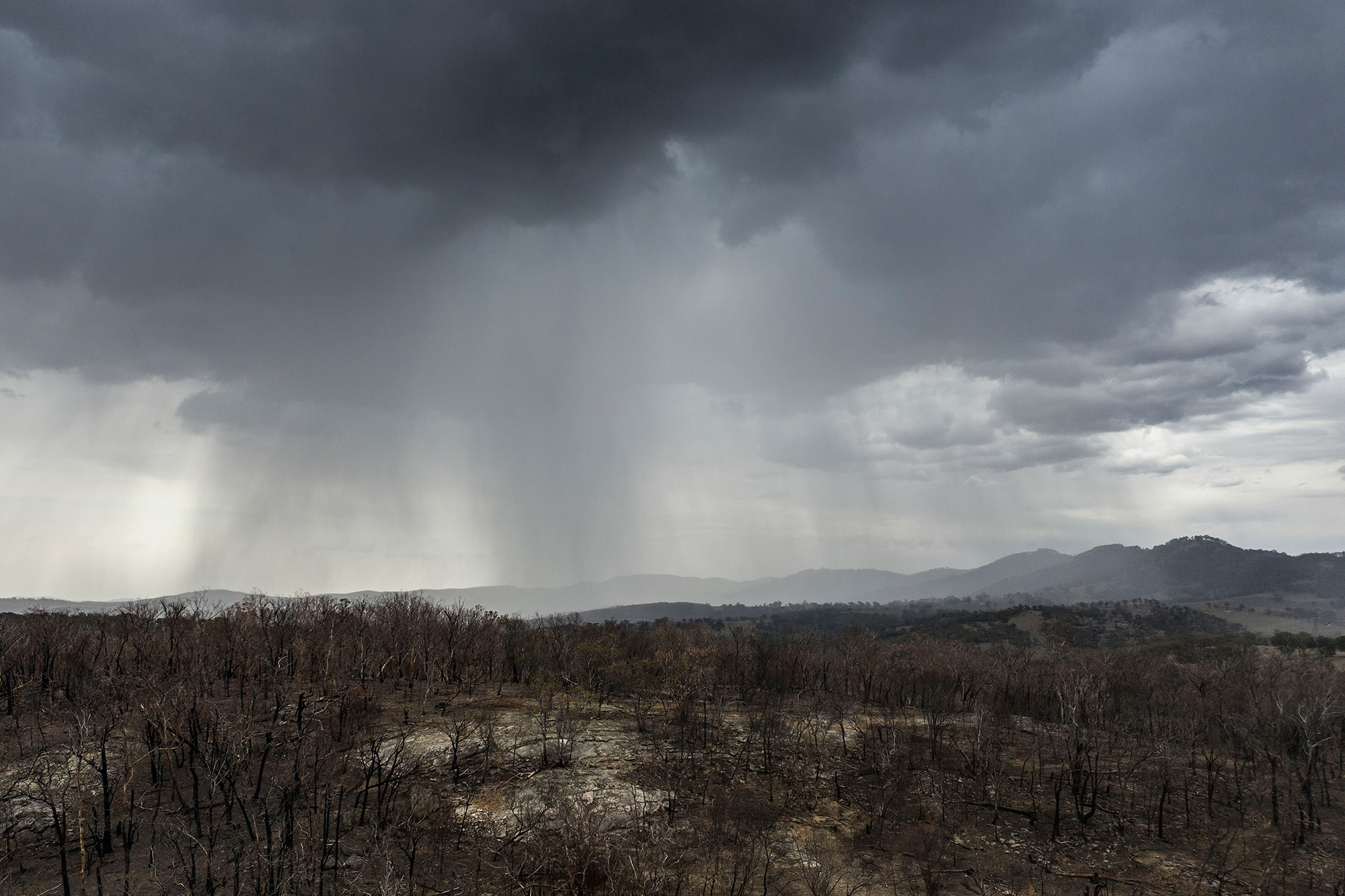 Rain and hail pelt fire-ravaged Australian states, bringing potential ...
