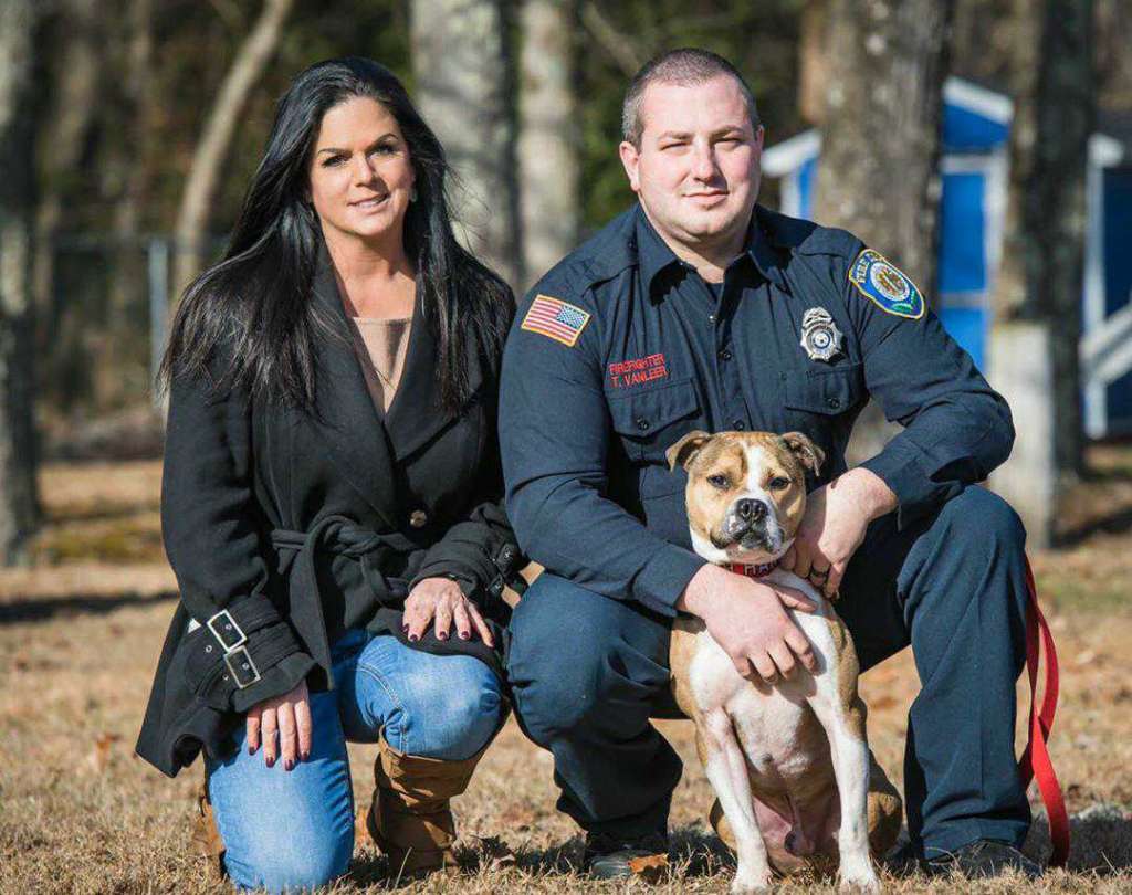 Meet Hansel, the first pit bull to become an arson-detection K9 officer ...