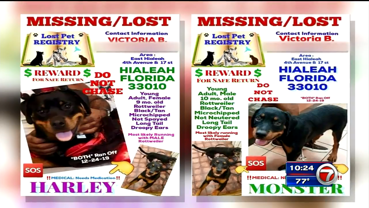 South Florida woman scammed by someone claiming to have found one of ...