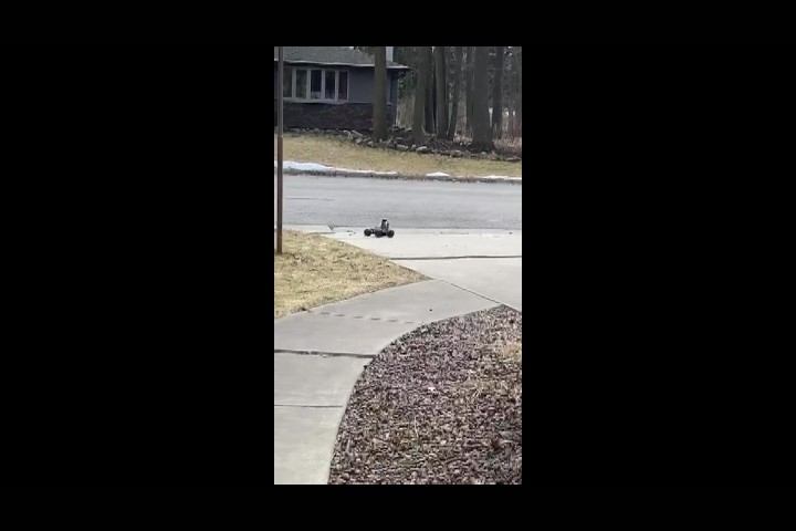 Woman uses remote-controlled car to share beer with neighbor - WSVN ...