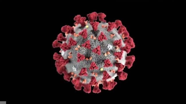 Puerto Rico shutters 911 call centers amid coronavirus cases - WSVN ...